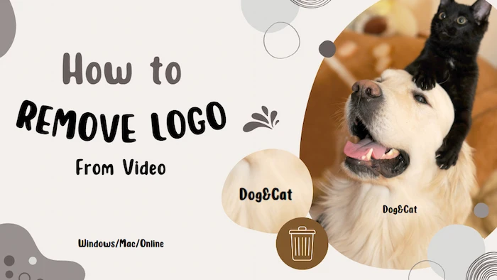 Remove Logo From Video Für Windows – OUCEBE