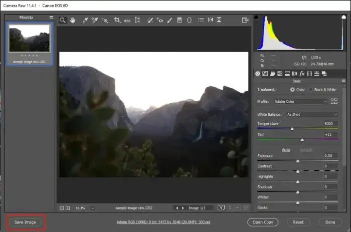 How to Convert RAW to JPG | Detailed Operating Instructions - WorkinTool