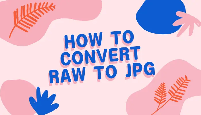 How to Convert RAW to JPG | Detailed Operating Instructions - WorkinTool