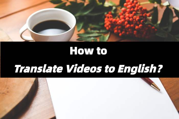 How to Translate Videos to English: A Simple and Easy-to-Learn Tutorial